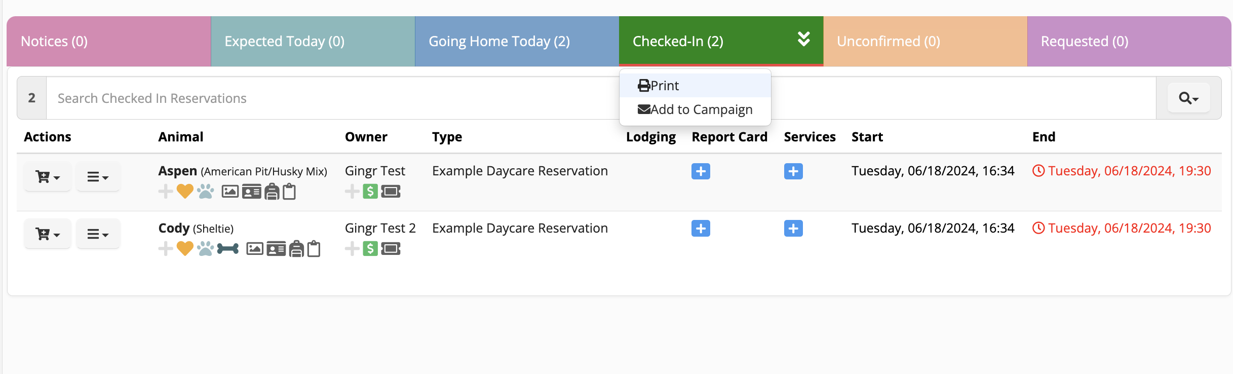 Print Dashboard Reports (How-To) – Gingr