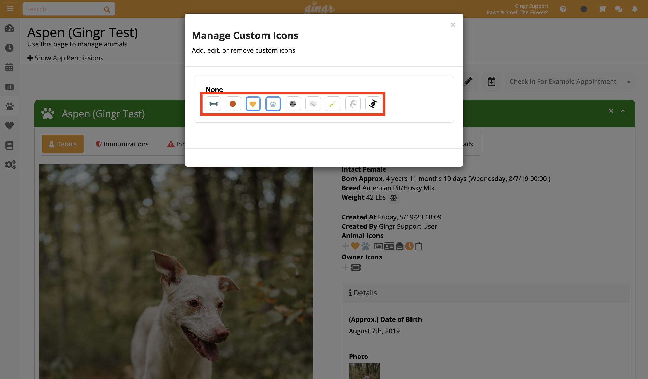Assign Animal Icons (How-To) – Gingr