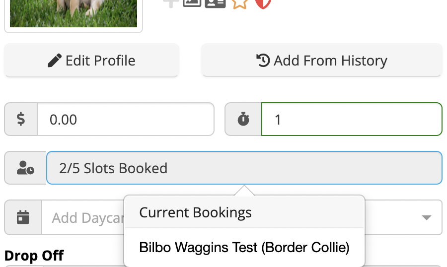 Book Slot-Based Appointments from New Appointment Page (How-To) – Gingr