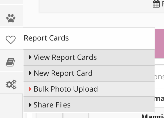 Upload Photos to Report Cards in Bulk from Desktop (How-To) – Gingr