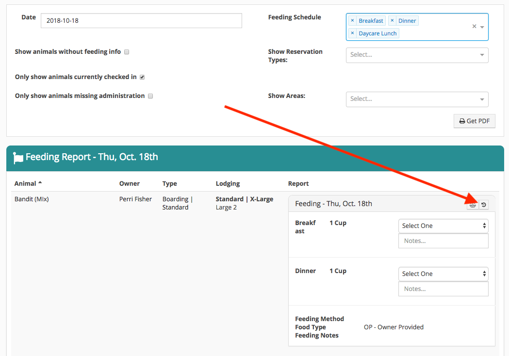 Feeding Report (Reference) – Gingr