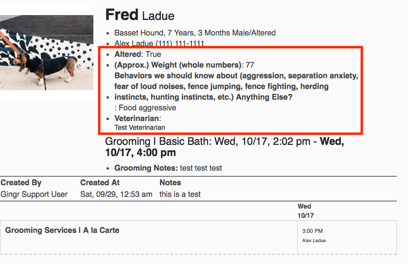 Set Up Run Cards (How-To) – Gingr